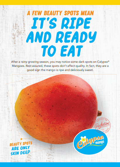 How to know when your Calypso® Mango is ripe? | Perfection Fresh Australia.
