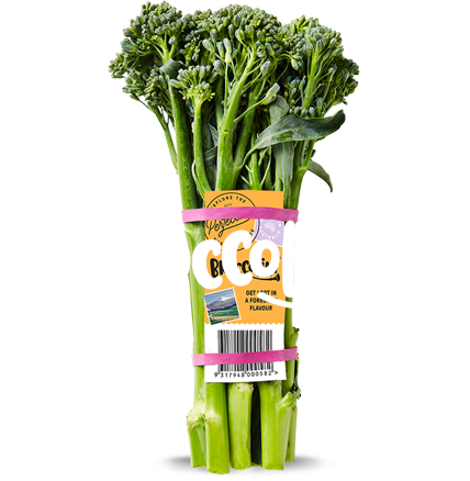 Steamed Broccolini - Step by Step | Perfection Fresh Australia.