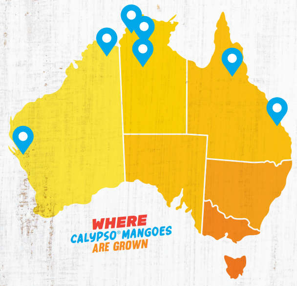 The more Irresistible mango | Perfection Fresh Australia