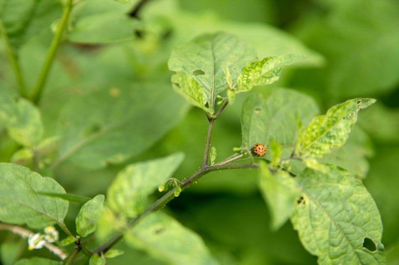 proudly endorsed by the great barrier reef foundation