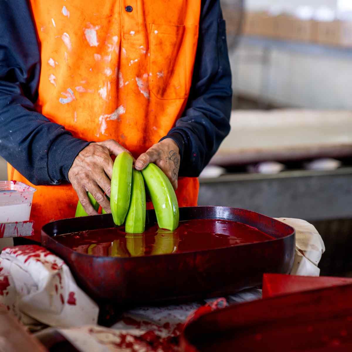 Ecoganic® Red Tip® Bananas & Sustainable Farming Practices | Perfection ...