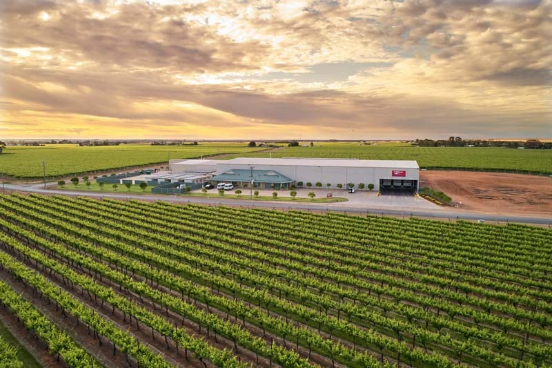 Perfection Fresh acquires full ownership of Fruit Master Table Grapes ...