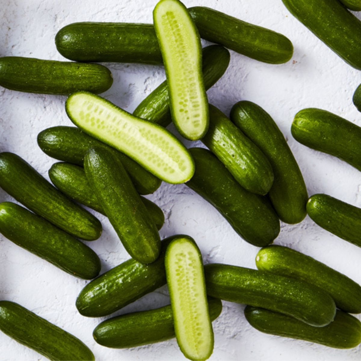 From seed to snack: The journey of Qukes® baby cucumbers | Perfection ...