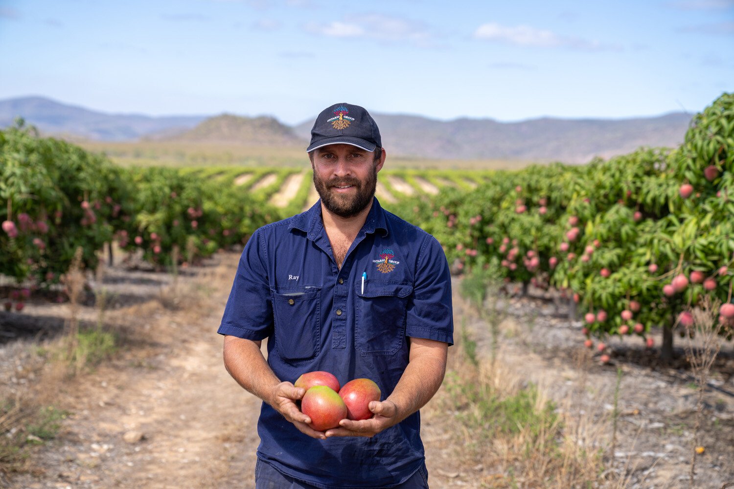 Growing tradition, embracing innovation: The story behind Calypso ...