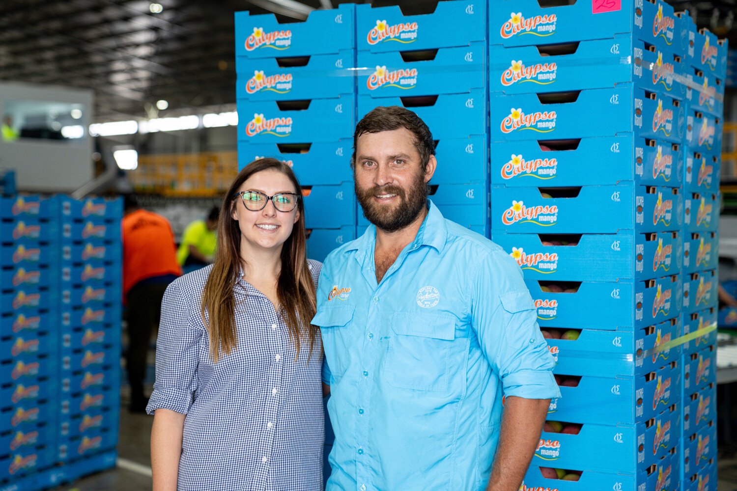 Growing tradition, embracing innovation: The story behind Calypso ...