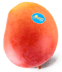 The more Irresistible mango | Perfection Fresh Australia