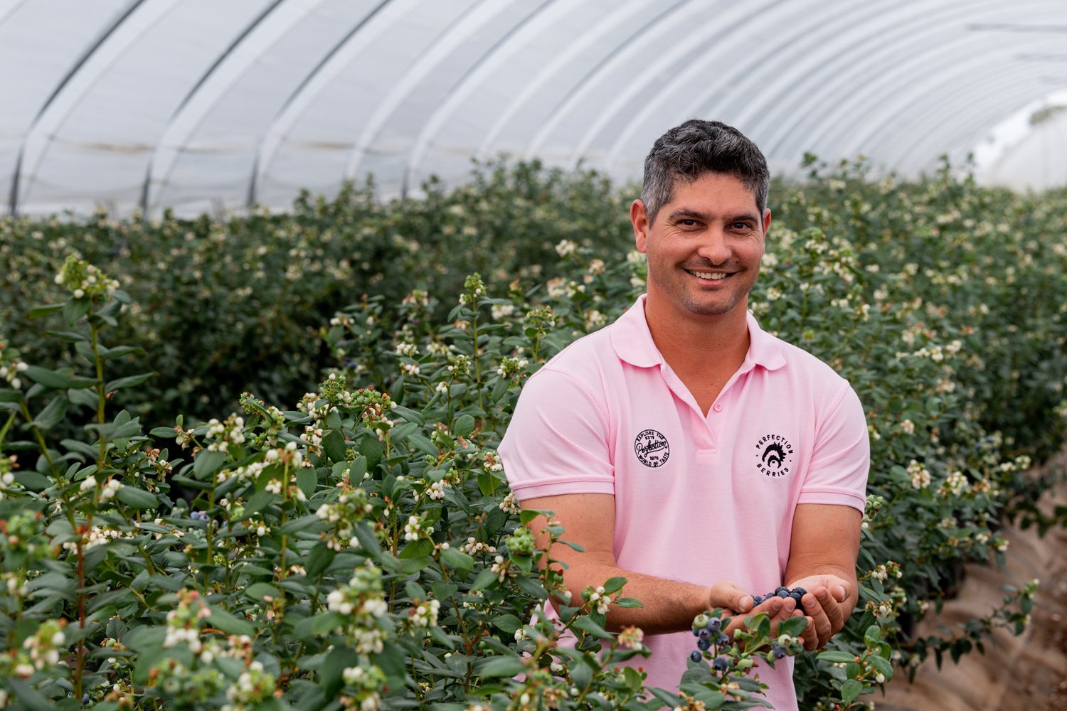 Excellence in berry farming: how Perfection Fresh combines tradition ...