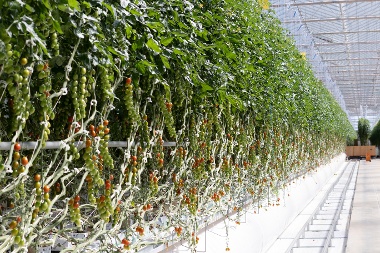 Perfection Fresh announces strategic investment to support growth ...