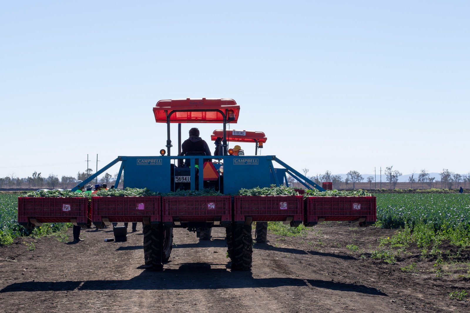 Meet the Grower: Campsey Ash Farms | Perfection Fresh Australia.