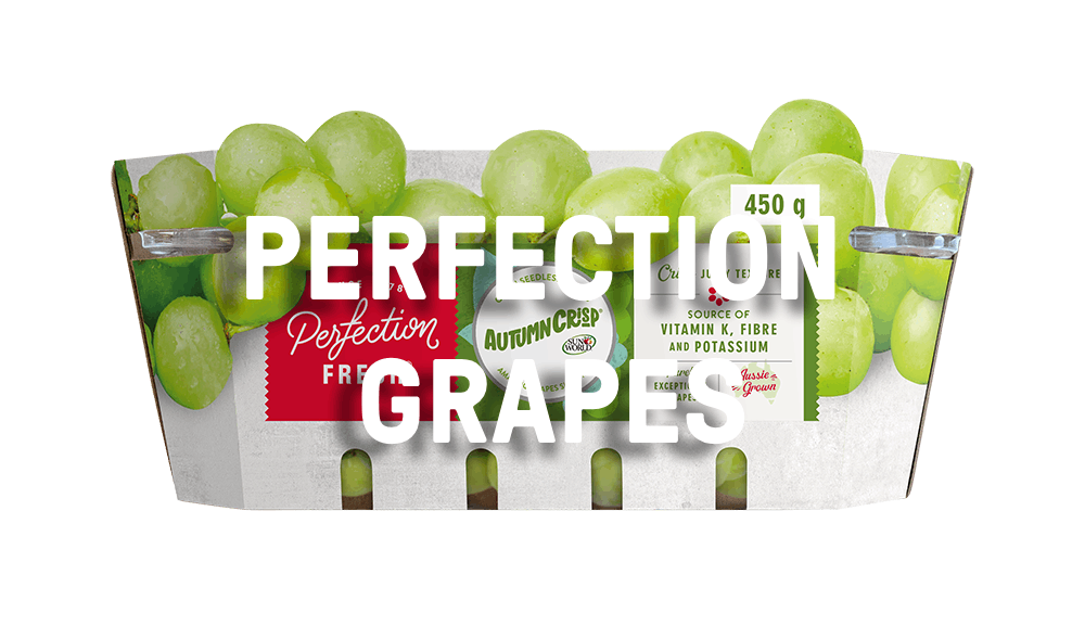 Contact Us | Perfection Fresh Australia