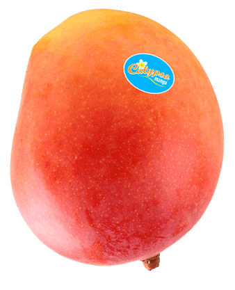 Summer's Cheekiest mango is back! CALYPSO® MANGO SEASON IS HERE ...