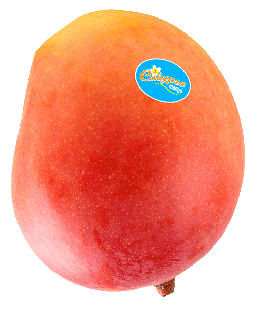 Summer's Cheekiest mango is back! CALYPSO® MANGO SEASON IS HERE ...