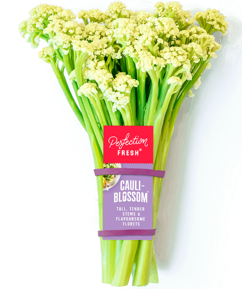 Contact Us | Perfection Fresh Australia