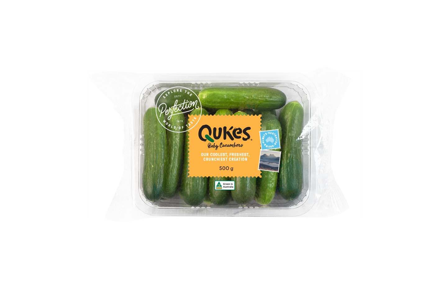 From seed to snack: The journey of Qukes® baby cucumbers | Perfection ...