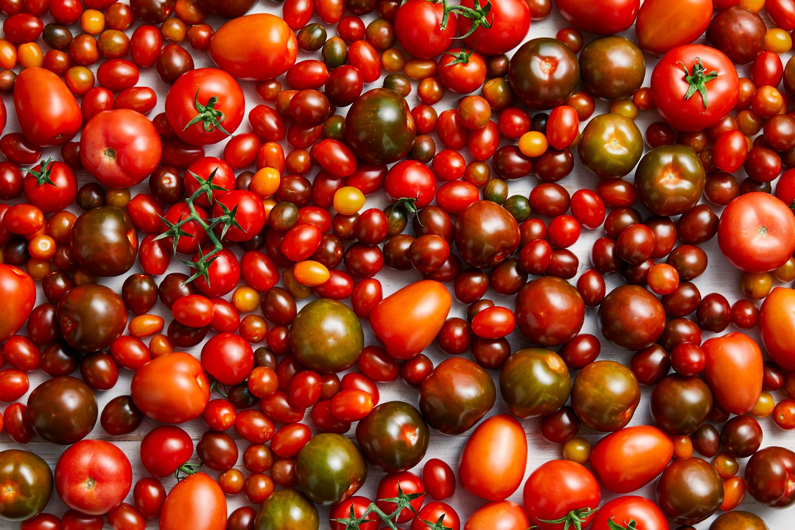 Guide to Selecting the Right Tomato for Every Occasion | Perfection ...