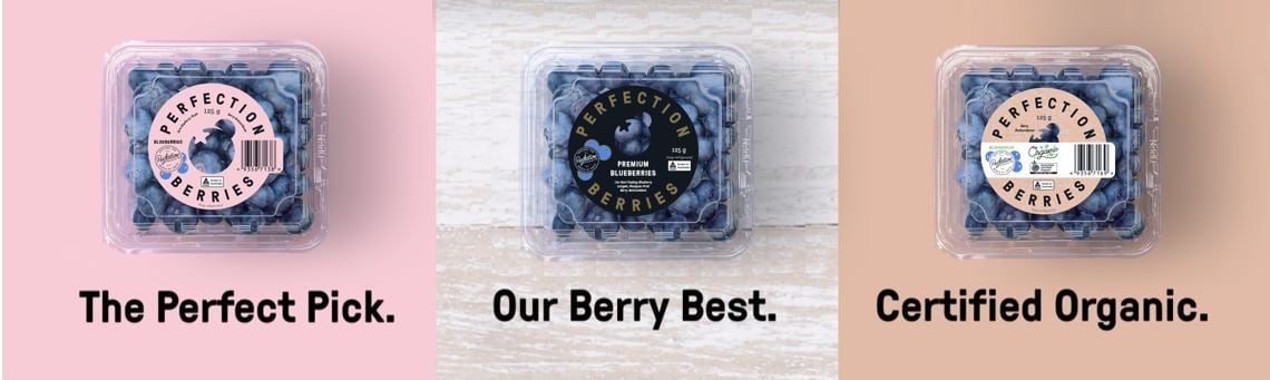 Perfection Blueberries | Perfection Fresh Australia