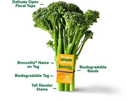 Quick and Easy Weeknight Dinners with Broccolini® | Perfection Fresh ...