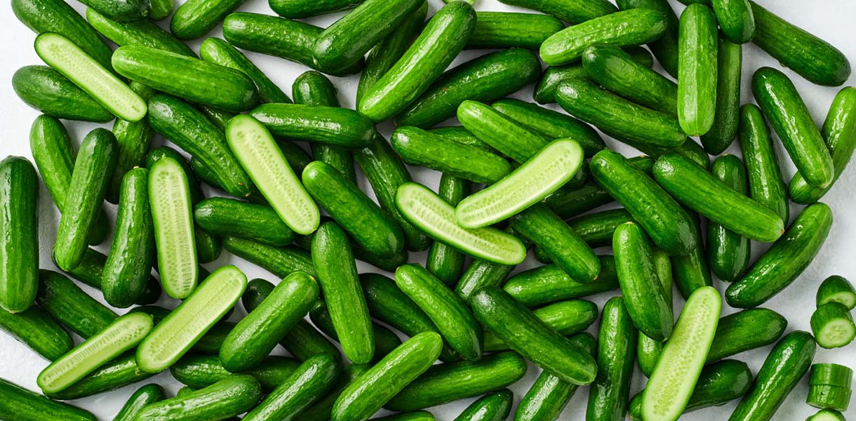 From seed to snack: The journey of Qukes® baby cucumbers | Perfection ...