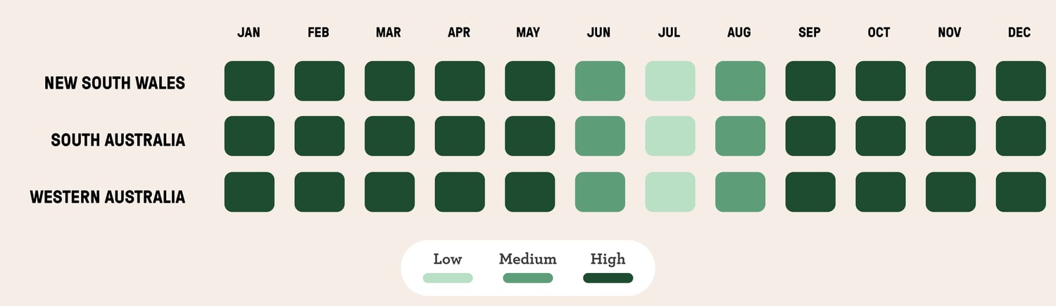 A specialty variety - made to be mini | Perfection Fresh Australia
