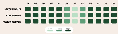 A specialty variety - made to be mini | Perfection Fresh Australia