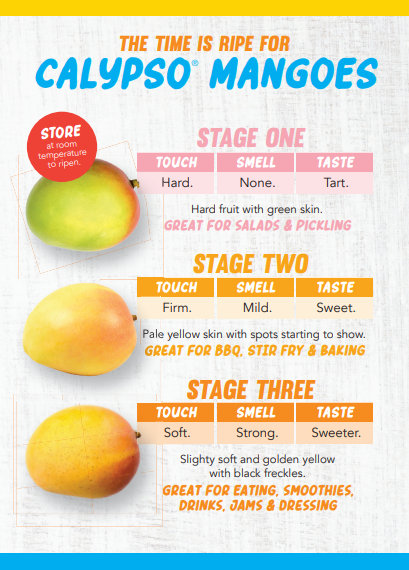How to know when your Calypso® Mango is ripe? | Perfection Fresh Australia.