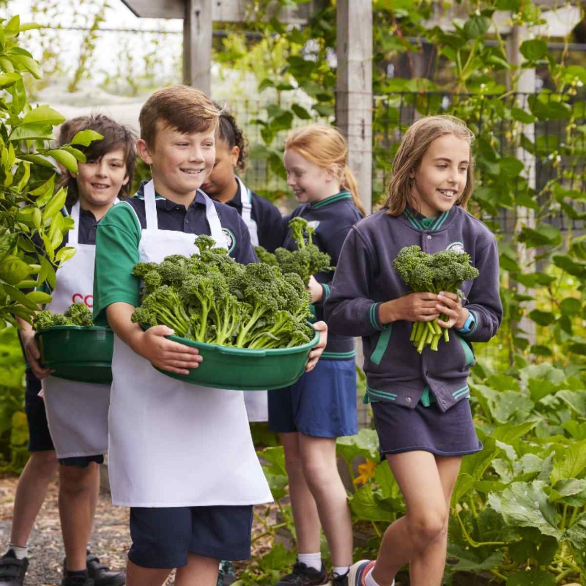 Broccolini® - Supporting the Stephanie Alexander Kitchen Garden Foundation for the Third Year ...