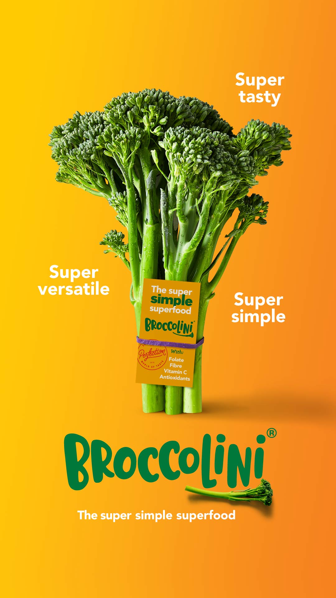 Home | Perfection Fresh Australia.