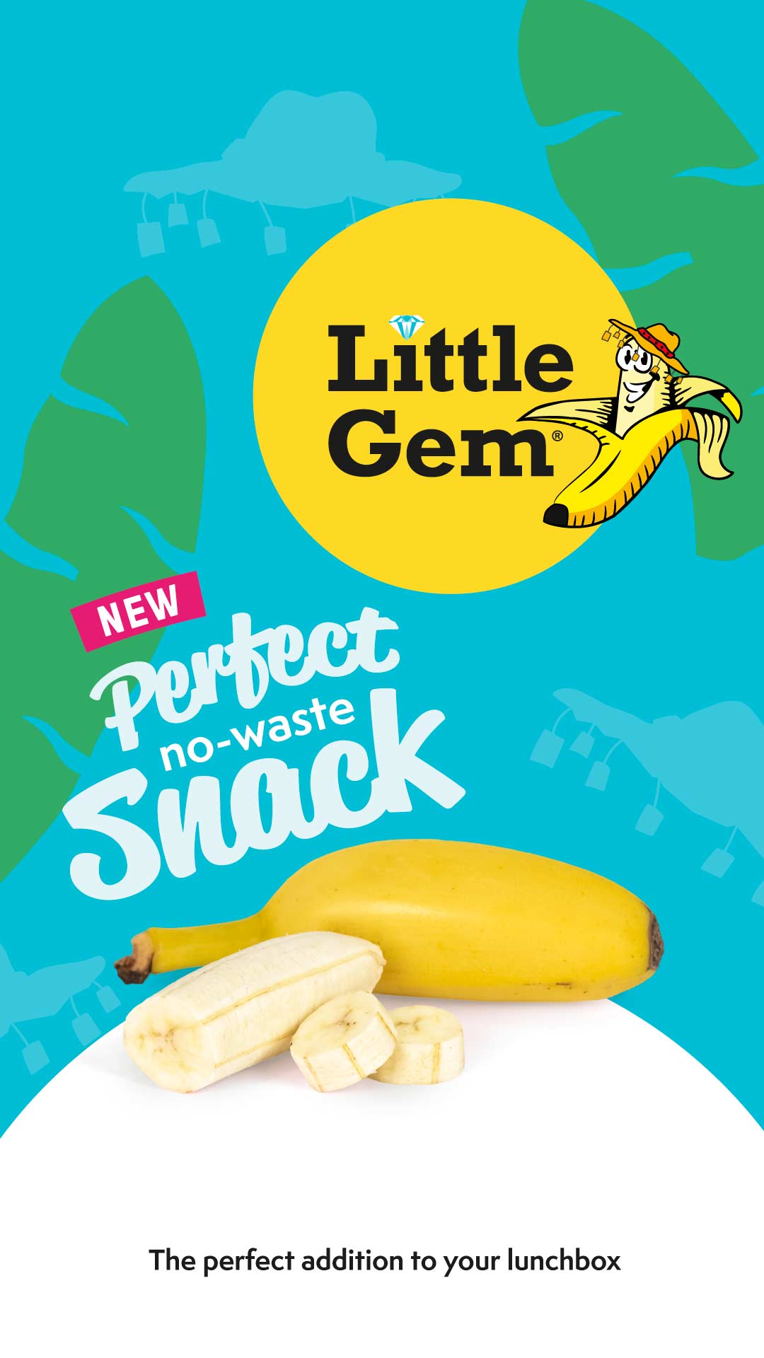 Home | Perfection Fresh Australia.