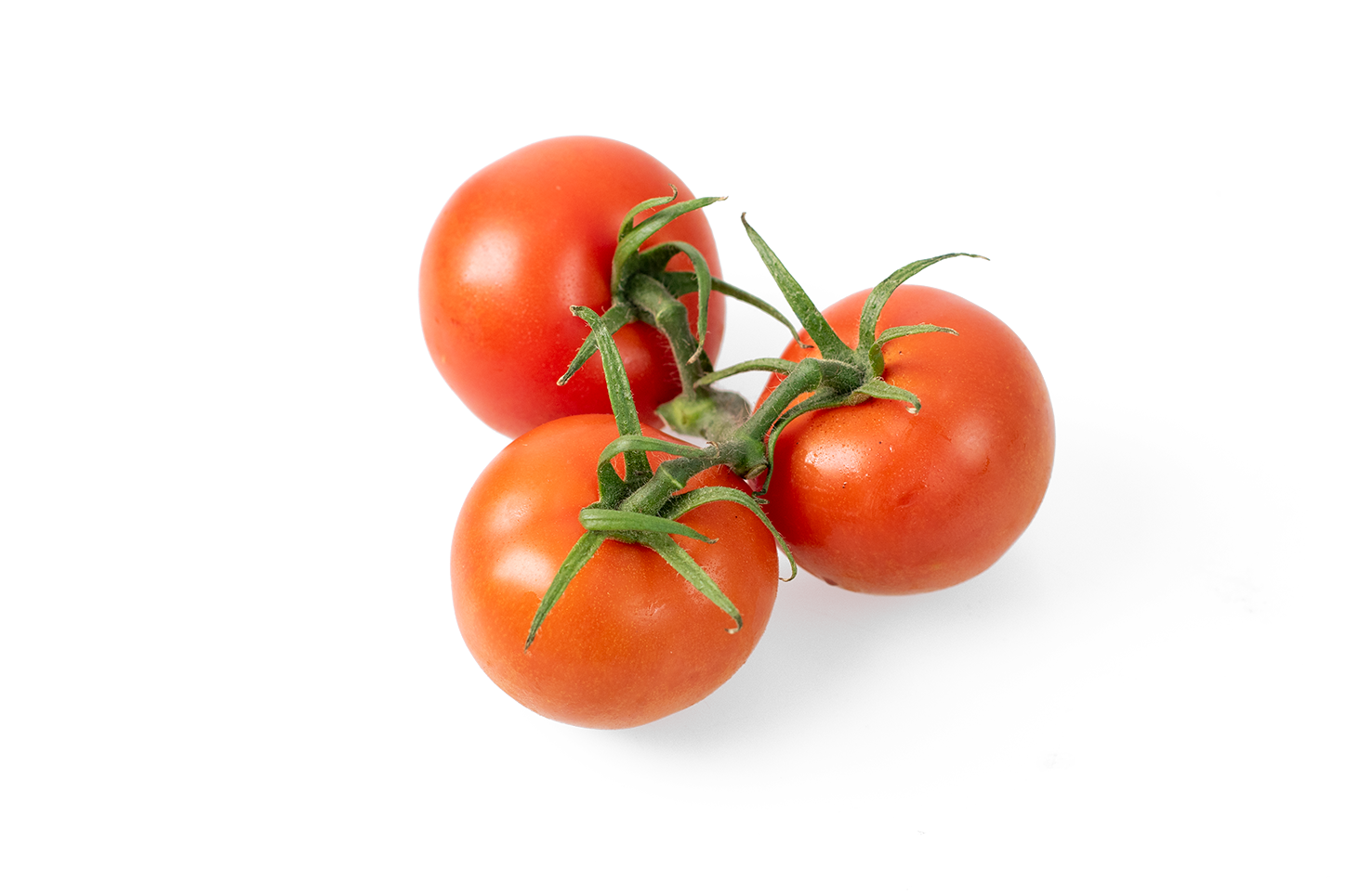 Truss Tomatoes | Perfection Fresh Australia.