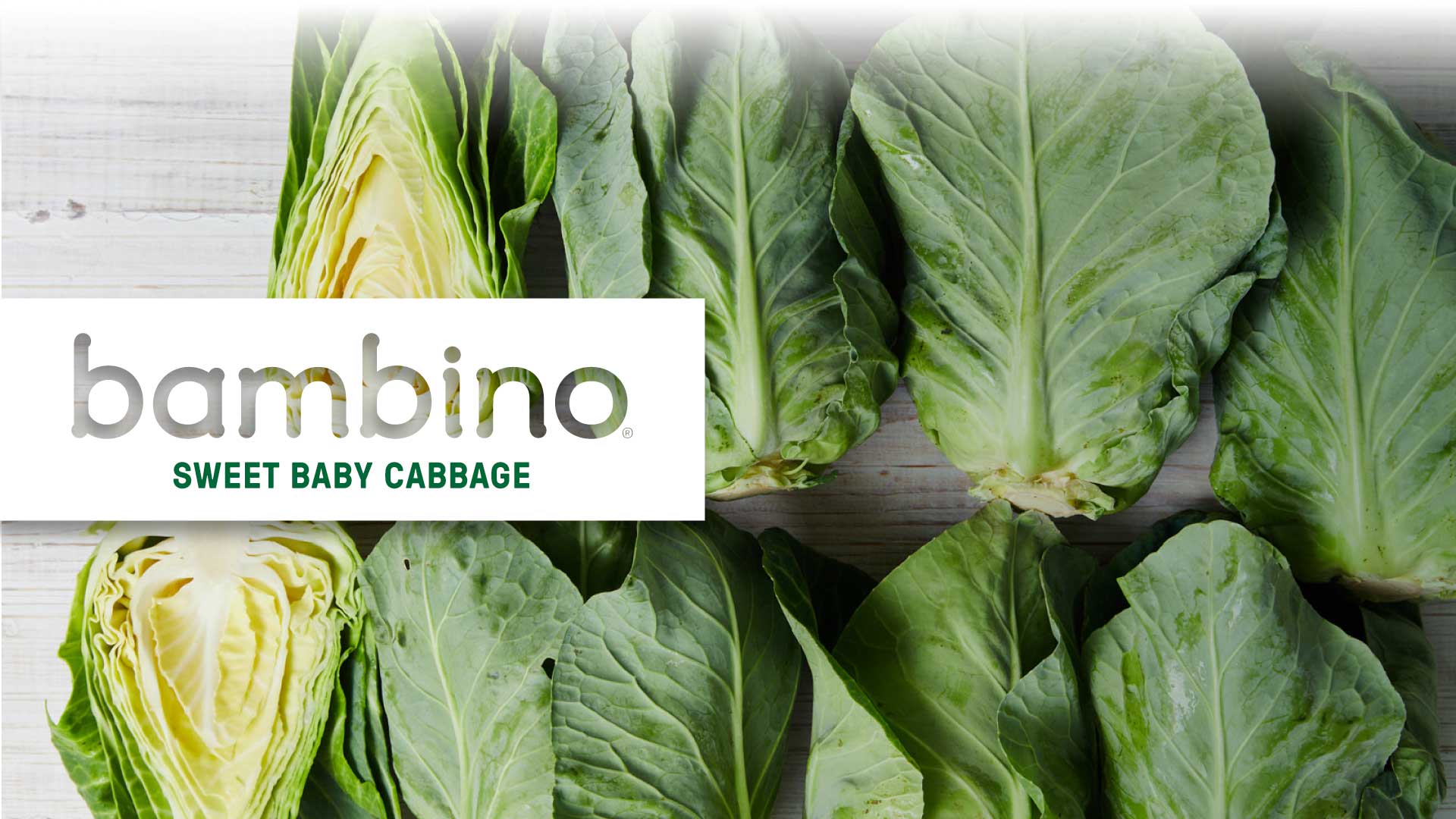 Home | Perfection Fresh Australia