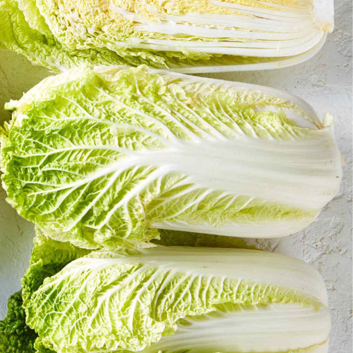 Bambino® Wombok Heart | Perfection Fresh Australia.