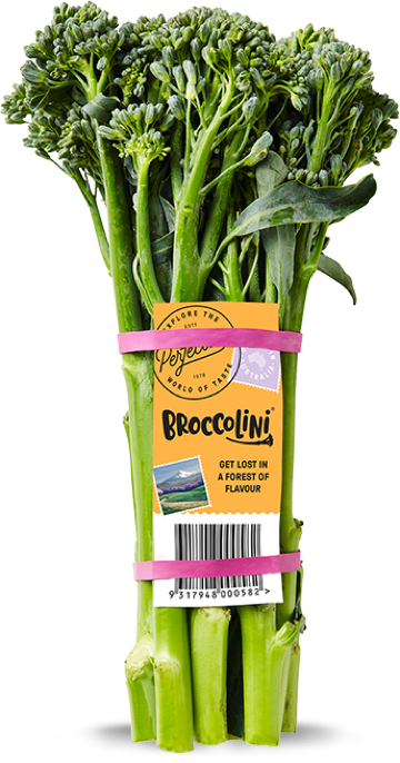 Home | Perfection Fresh Australia