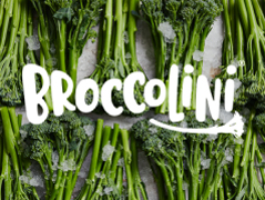 Home | Perfection Fresh Australia