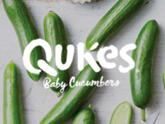 Home | Perfection Fresh Australia