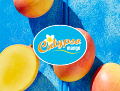 Home | Perfection Fresh Australia