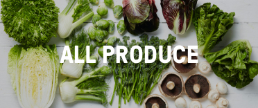 Recipes | Perfection Fresh Australia