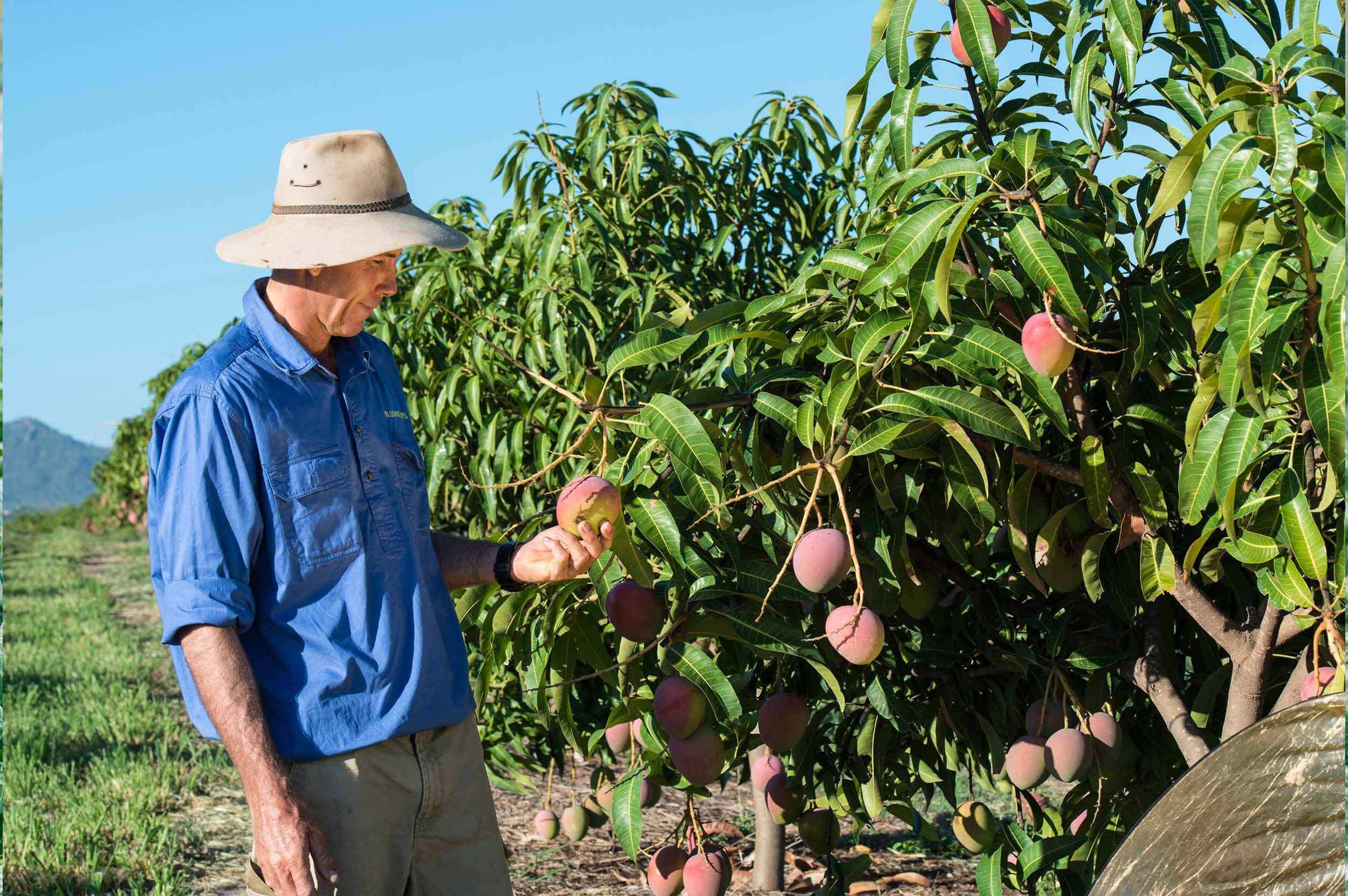 our-company | Perfection Fresh Australia